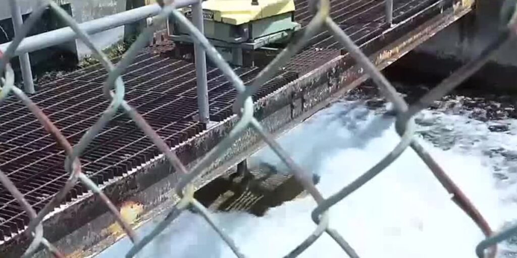 $100 million fish hatchery modernization plan launched in New York ...