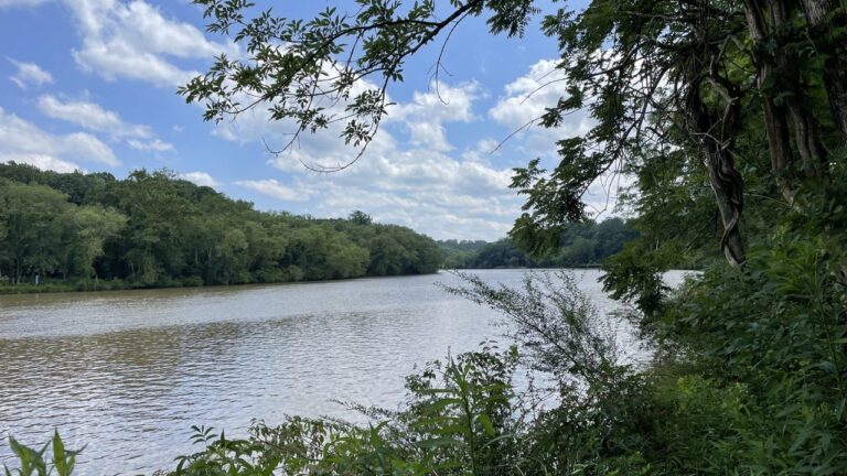 Chattahoochee Riverkeeper launches swim guide showing water quality ...