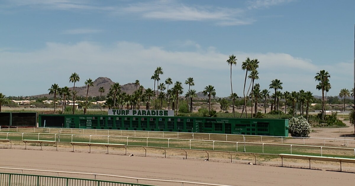 Neighbors concerned about Turf Paradise ‘biohazard’ issues, racetrack ...