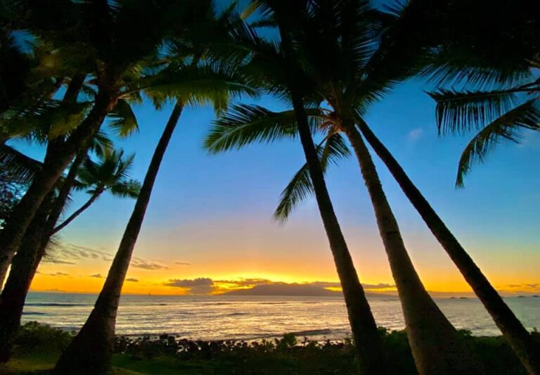 Maui Surf Forecast for January 17, 2026 : Maui Now – CONVEN.ORG | HOME