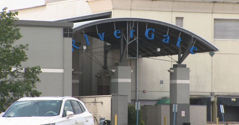 Rivergate Mall faces demolition after $350 million redevelopment plan ...