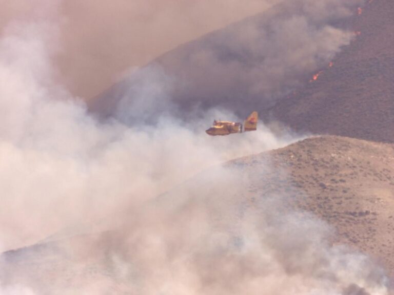Red Canyon Fire Grows To Over 113,000 Acres In Wyoming – CONVEN.ORG | HOME