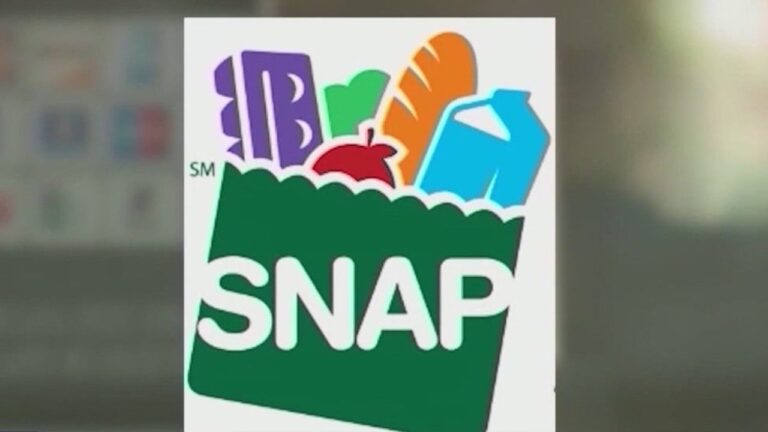 Georgia SNAP recipients brace as shutdown threatens benefits – CONVEN ...