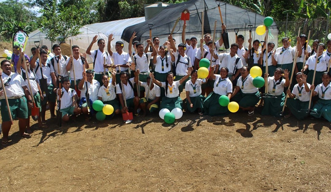 School gardens and healthy eating launched at Avele College – CONVEN ...