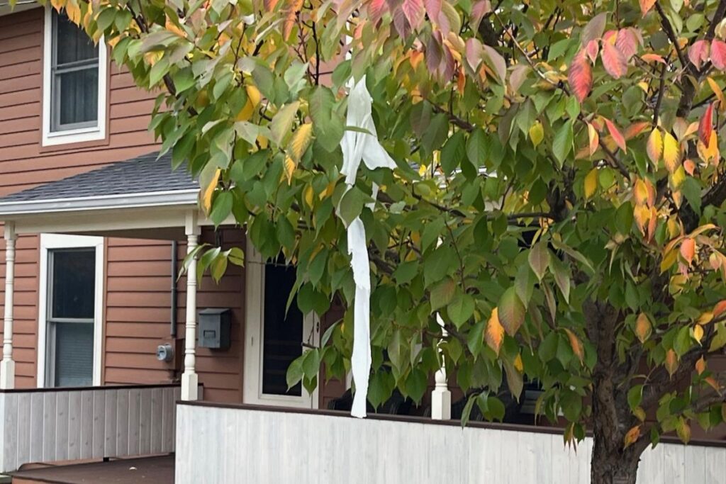 Why mischief night still matters in New Jersey – CONVEN.ORG | HOME