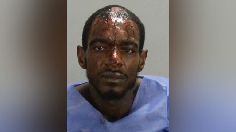 Clayton fugitive arrested after high-speed chase, manhunt in Meriwether ...