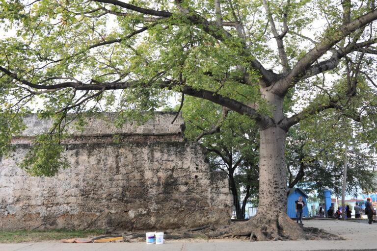 Help Havana Times Continue in 2026 – CONVEN.ORG | HOME