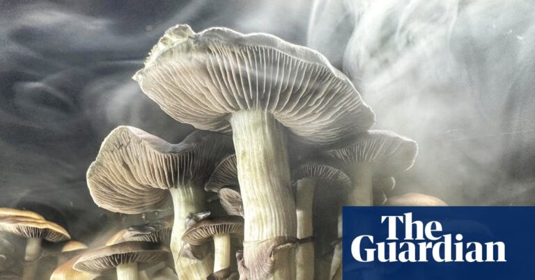 Inside the US’s psychedelic church boom, where taking drugs is legal ...