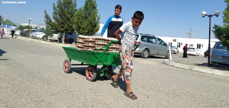 Between Statistics and Reality: What the UNICEF Report Reveals About ...