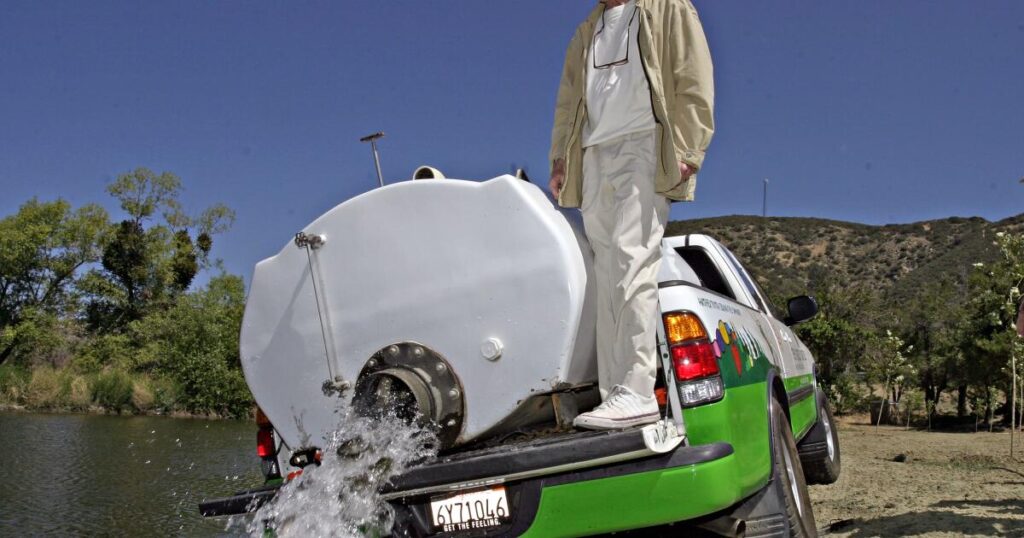 Ex-CEO of Paul Newman-founded nonprofit for sick kids embezzled over $5 ...