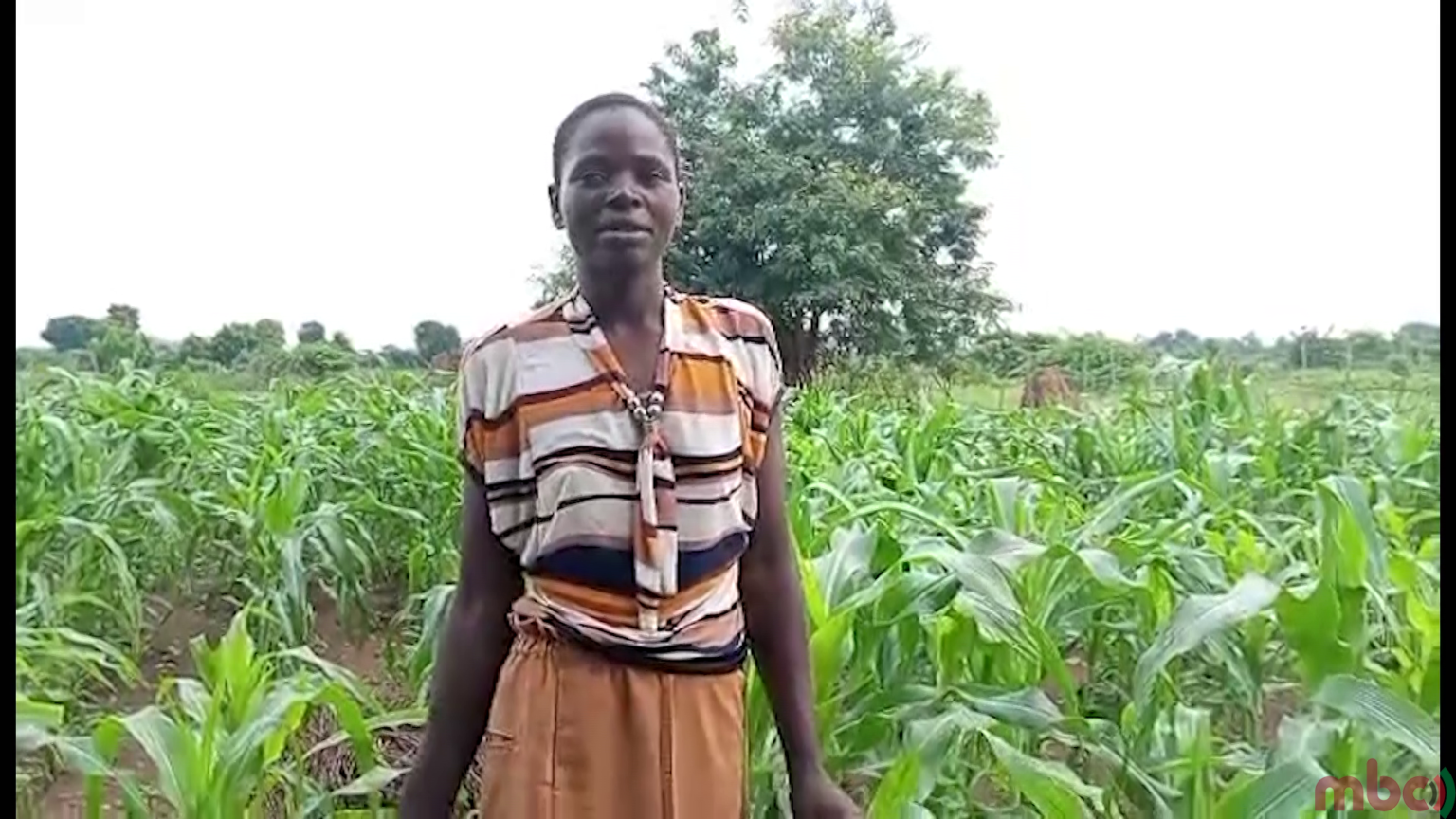 Farmers regain hope in Mutharika’s first 100 days – CONVEN.ORG | HOME