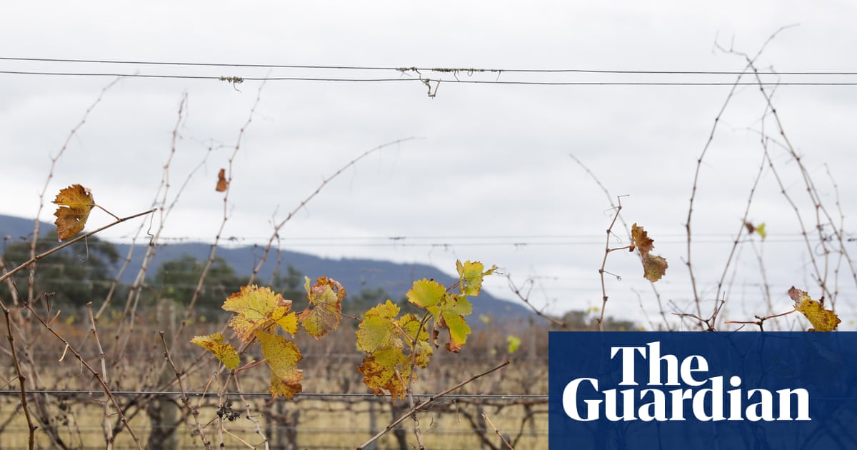 Filipino migrant worker’s death in NSW referred to federal police | New ...