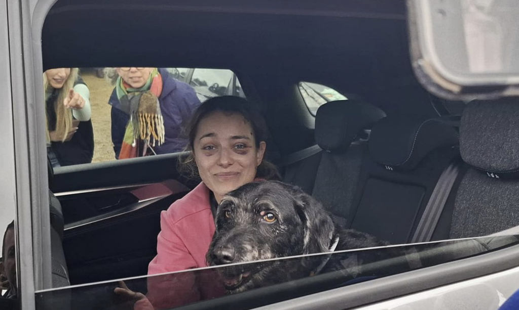 Hope amid tragedy as dog missing after train tragedy in Andalusia is ...