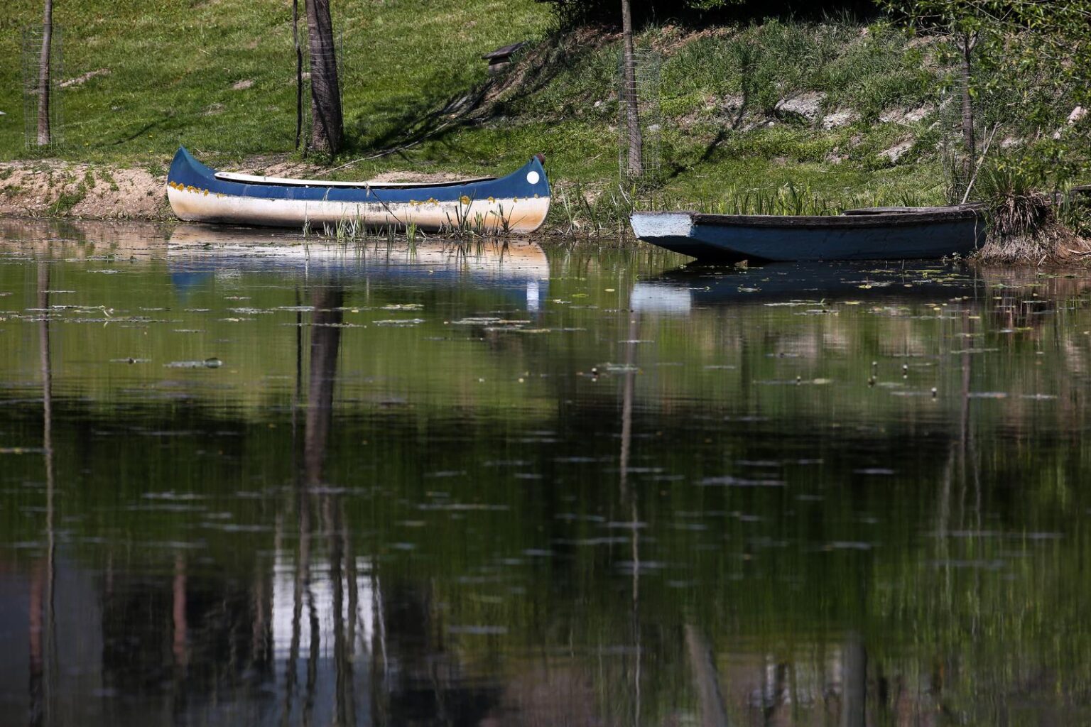 Odra: Croatia’s “Amazon River” is One of Europe’s Most Important Bird ...