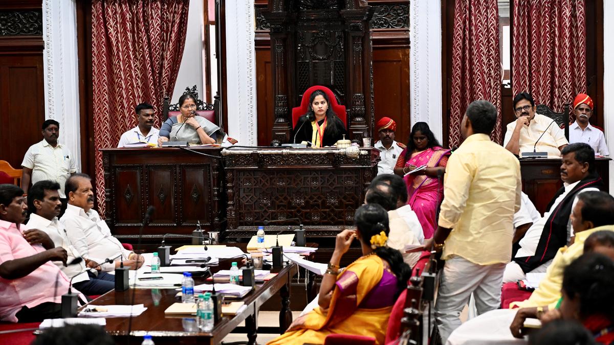 Stray cattle menace in Chennai: Licensing, microchipping of cattle now ...