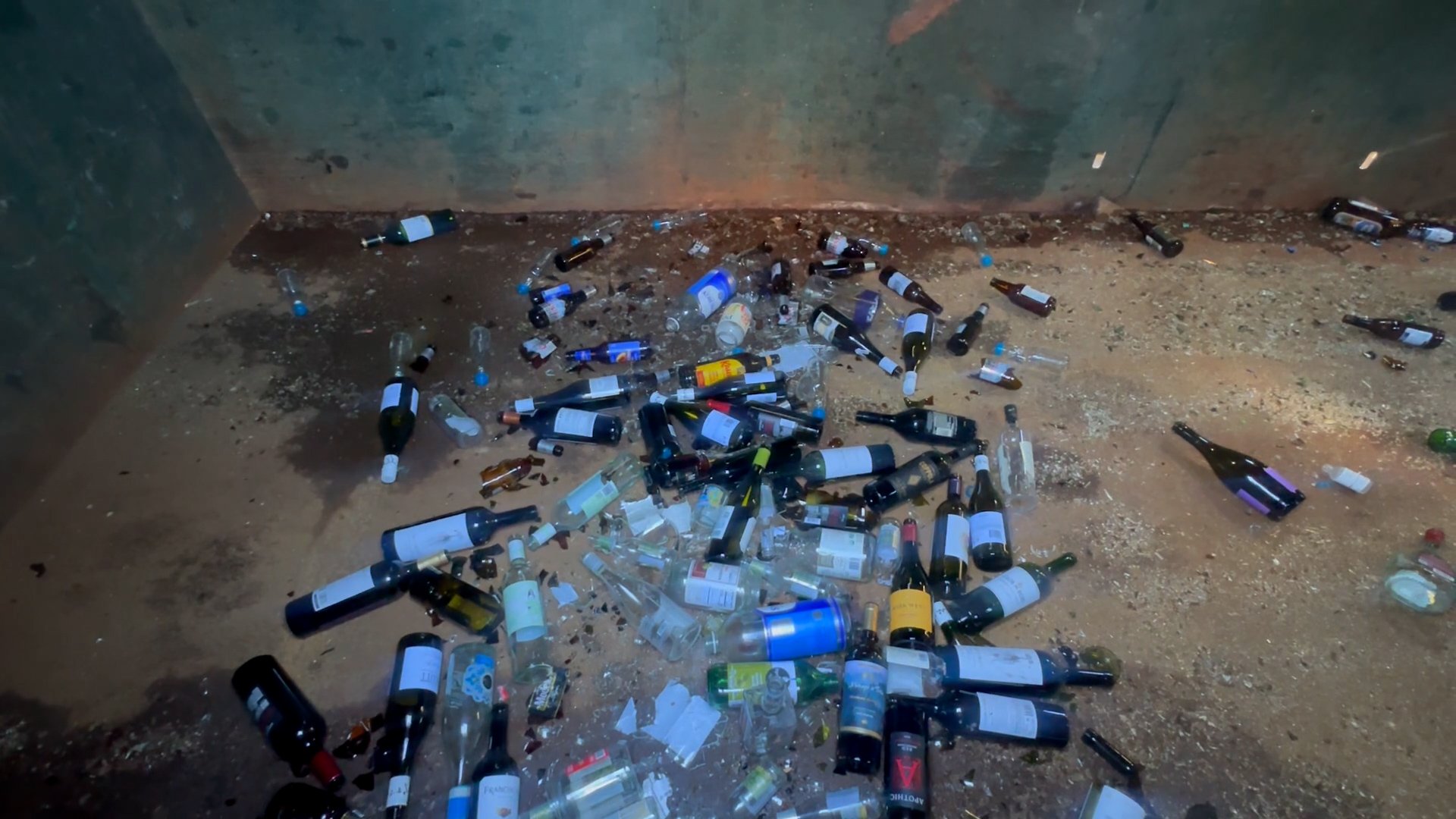 The City of Lincoln’s ‘What bin does it go in’ tool helps you sort ...