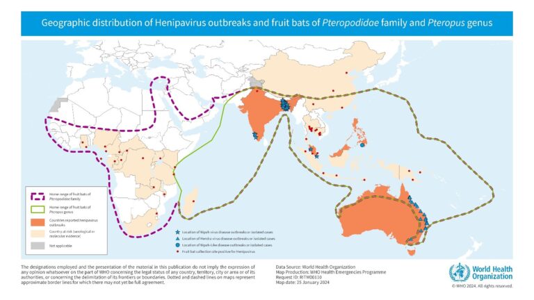 Health officials say no local Nipah virus cases detected, urge ...