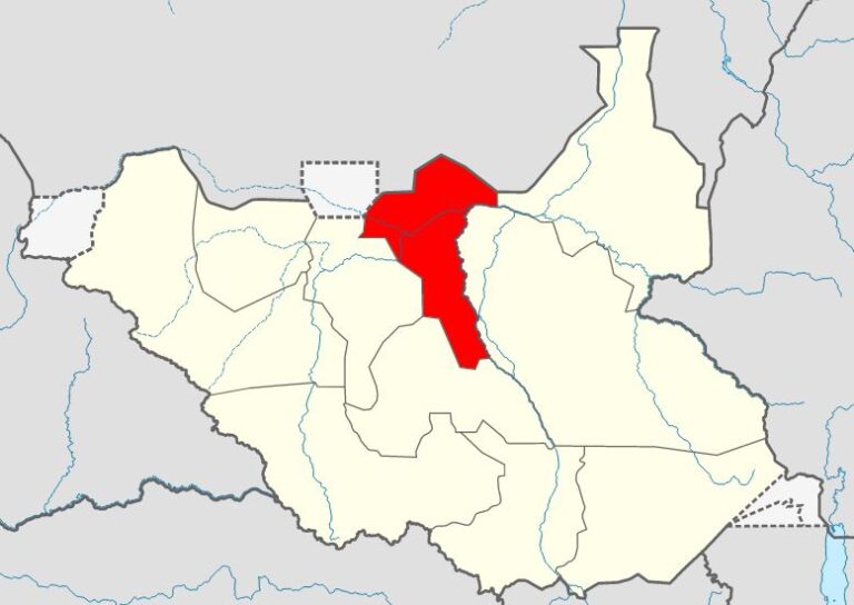 Two killed in RSF cross-border attack in northern Unity State – CONVEN ...