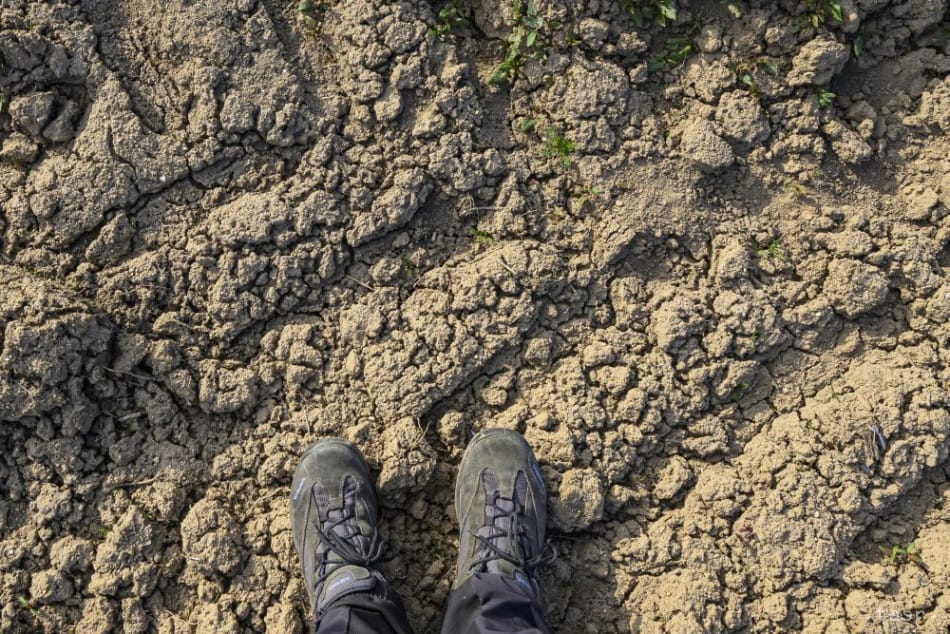 Extreme Drought Has Already Affected Nearly 40 percent of Slovakia ...